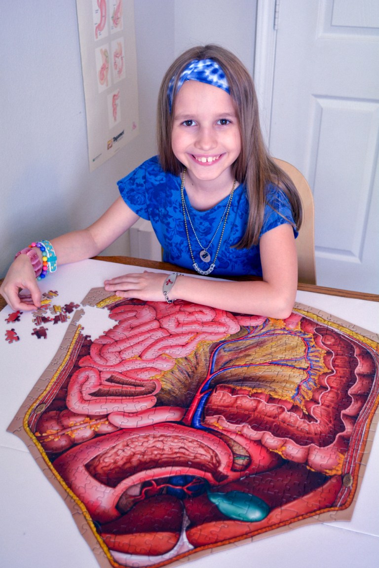 Dr. Livingston’s Anatomy Jigsaw Puzzle Review – the Human Abdomen – The ...
