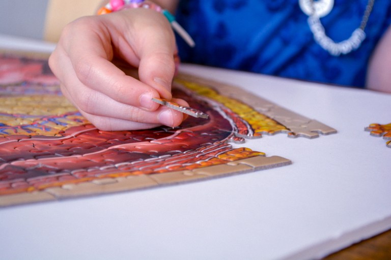 Dr. Livingston’s Anatomy Jigsaw Puzzle Review – the Human Abdomen – The ...