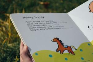 Baby Gym Board Books (A Timberdoodle Review) – The Oaxacaborn Blog