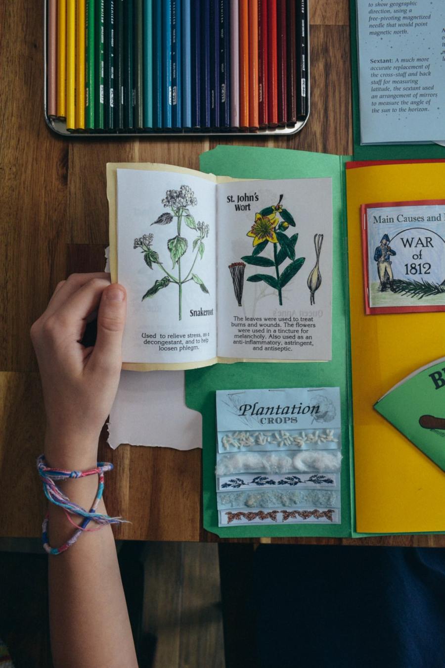 Creating an American History Lapbook with Sonlight – The Oaxacaborn Blog